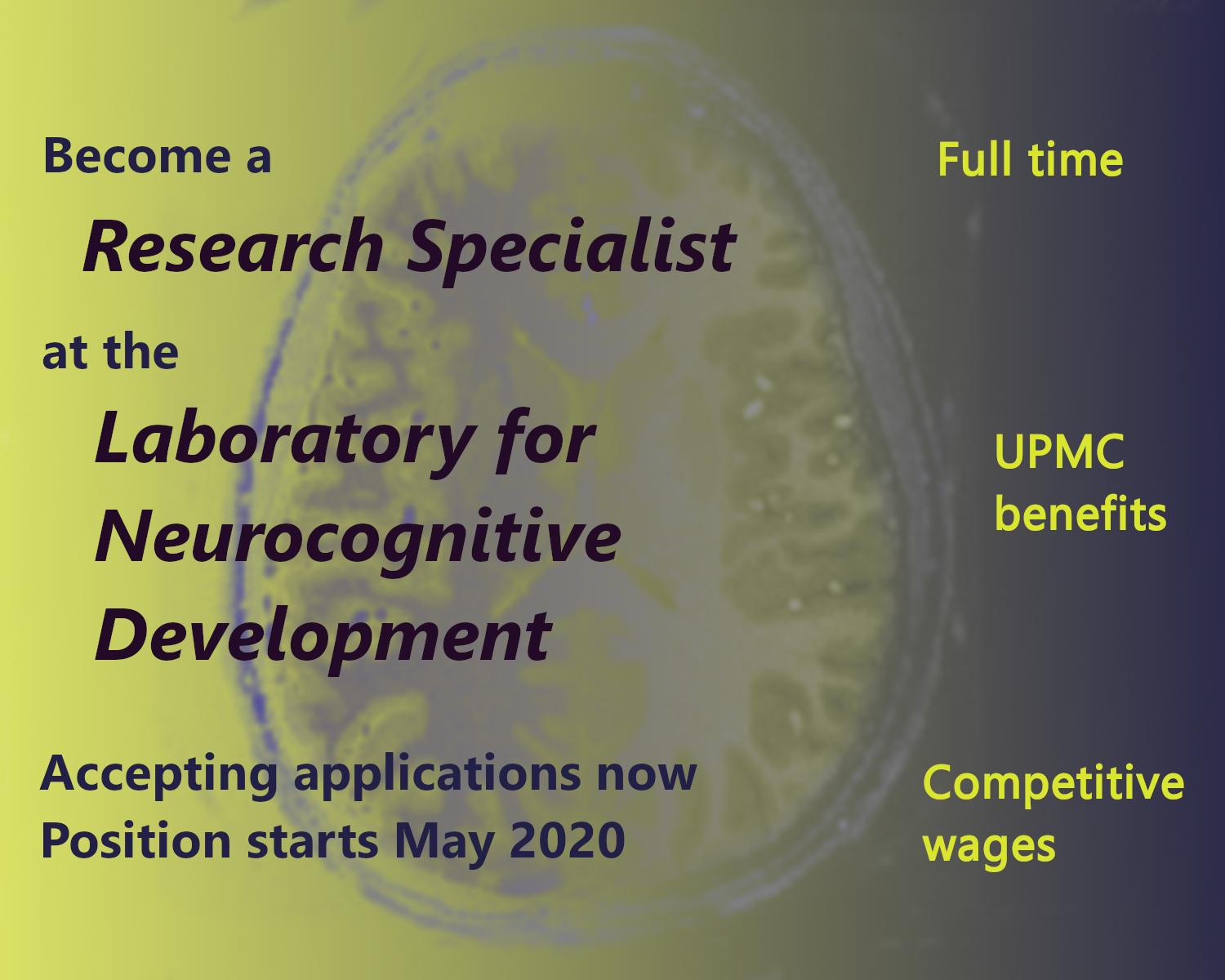 Laboratory of Neurocognitive Development